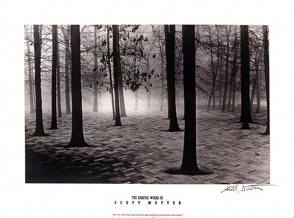 American Museum of Photography -- View Great Photographs